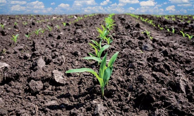 Que propose Timac Agro pour la fertilisation des sols ? - Iaxess